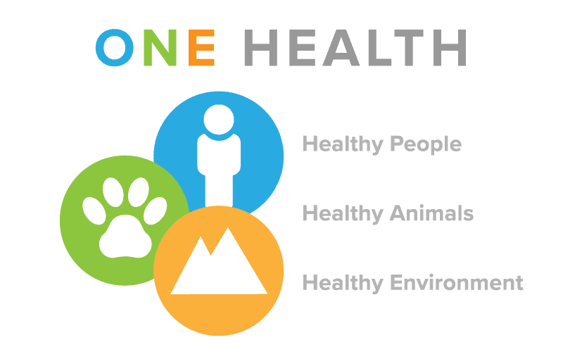 One Health - a new approach - Vet Help Direct