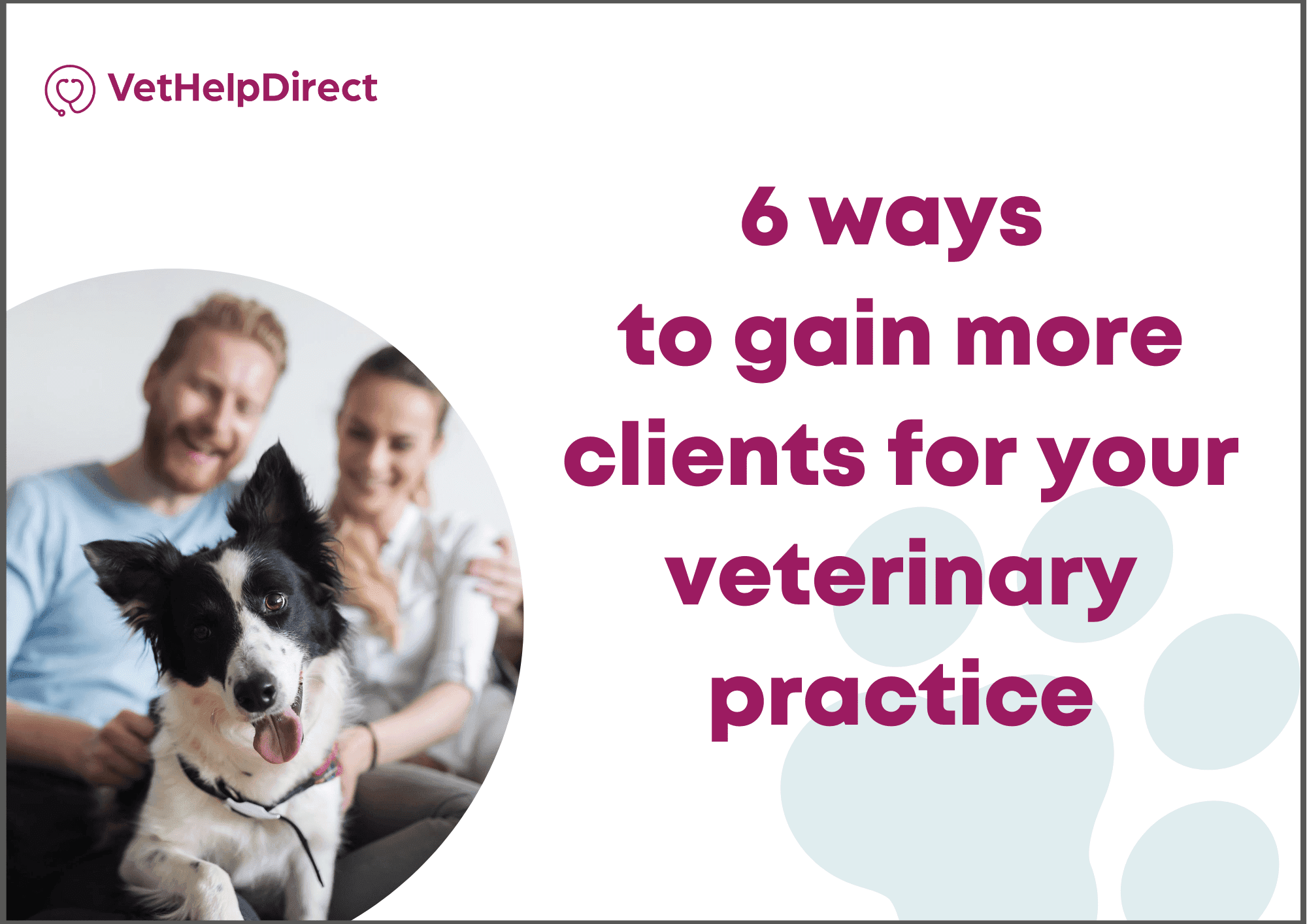 Video Consultation Success - Vet Help Direct