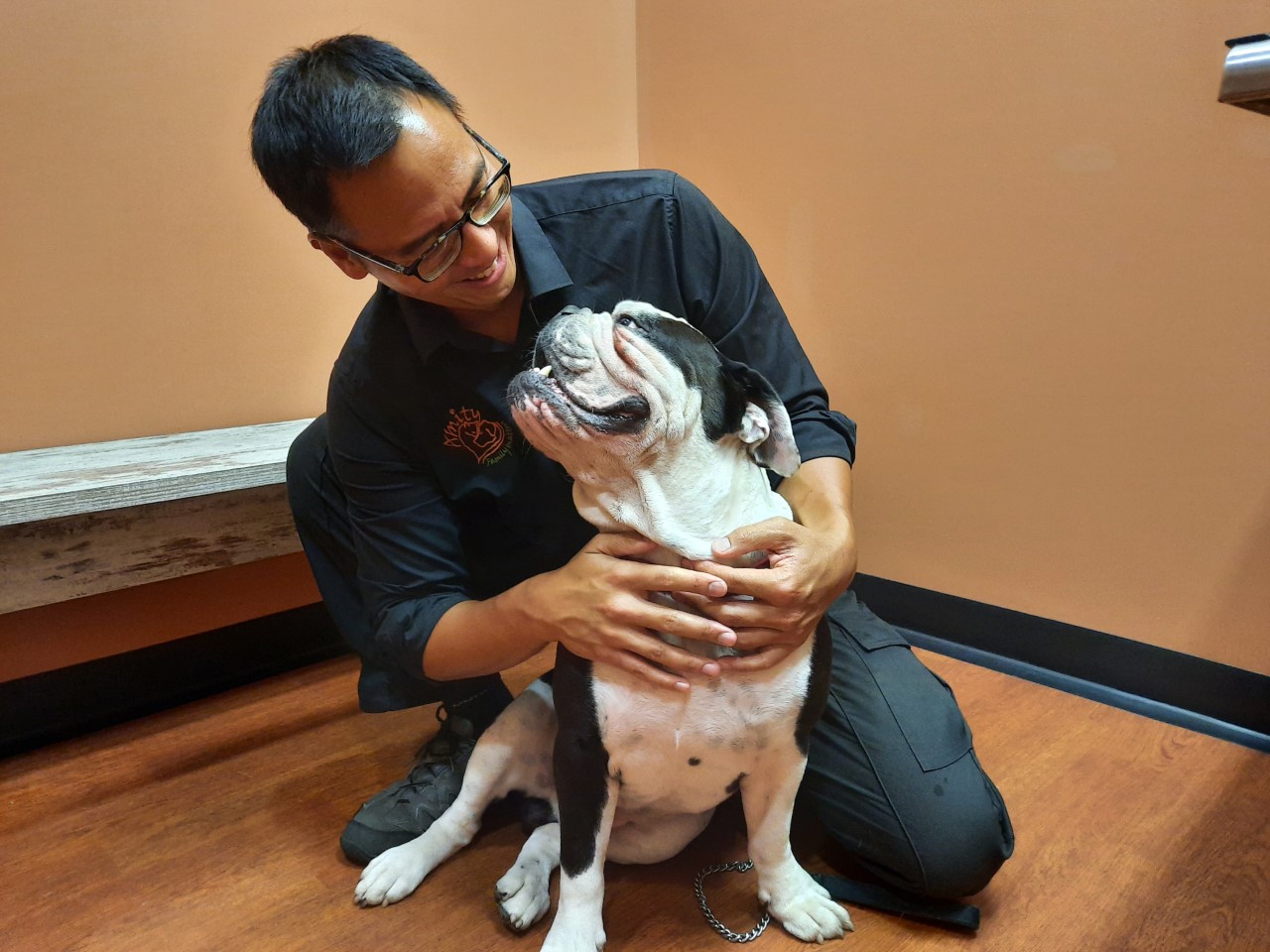 How to Build a Positive Relationship with your Vet - Vet Help Direct