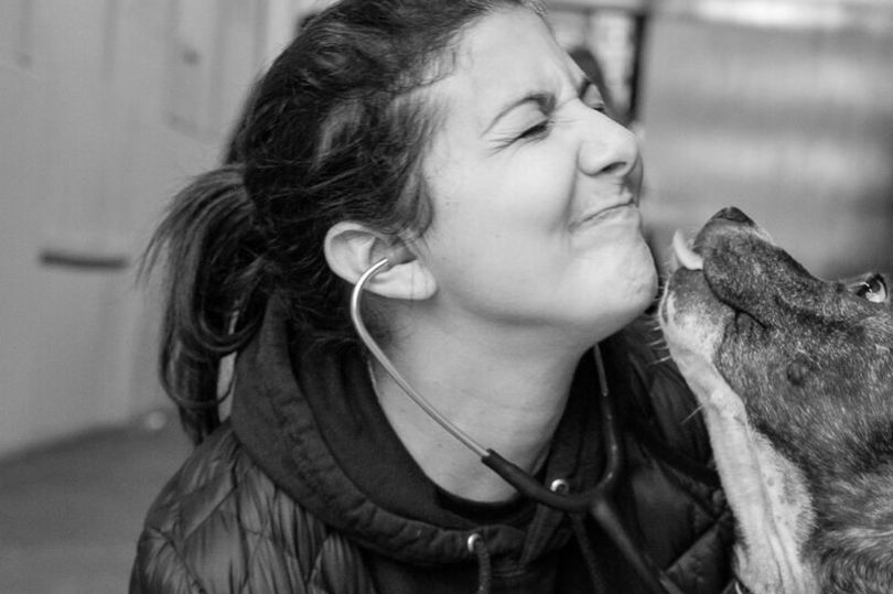 StreetVet - Supporting the Homeless & their Pets - Vet Help Direct