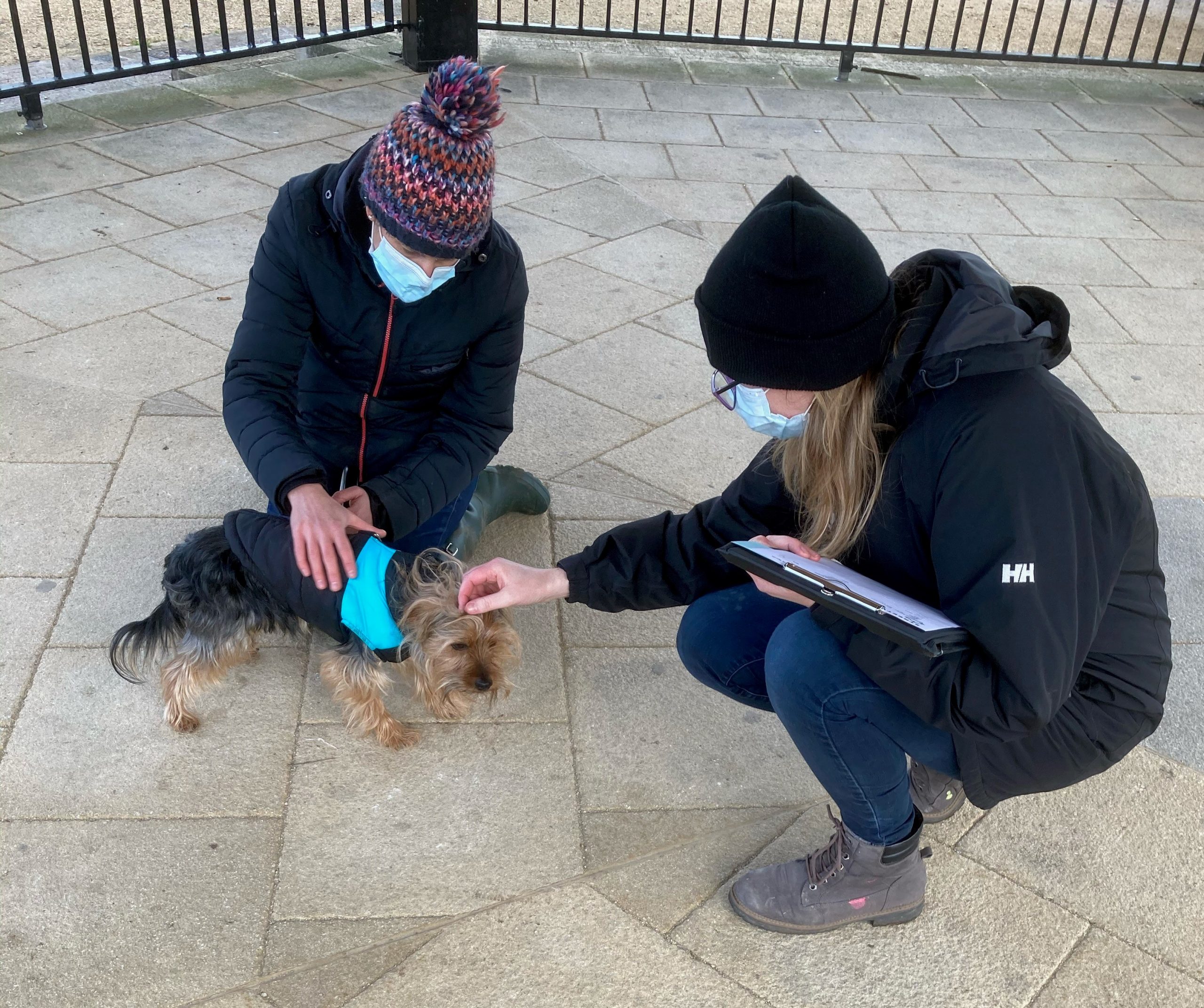 StreetVet Q&A - Ending the Choice of Pet OR Shelter for the Homeless ...