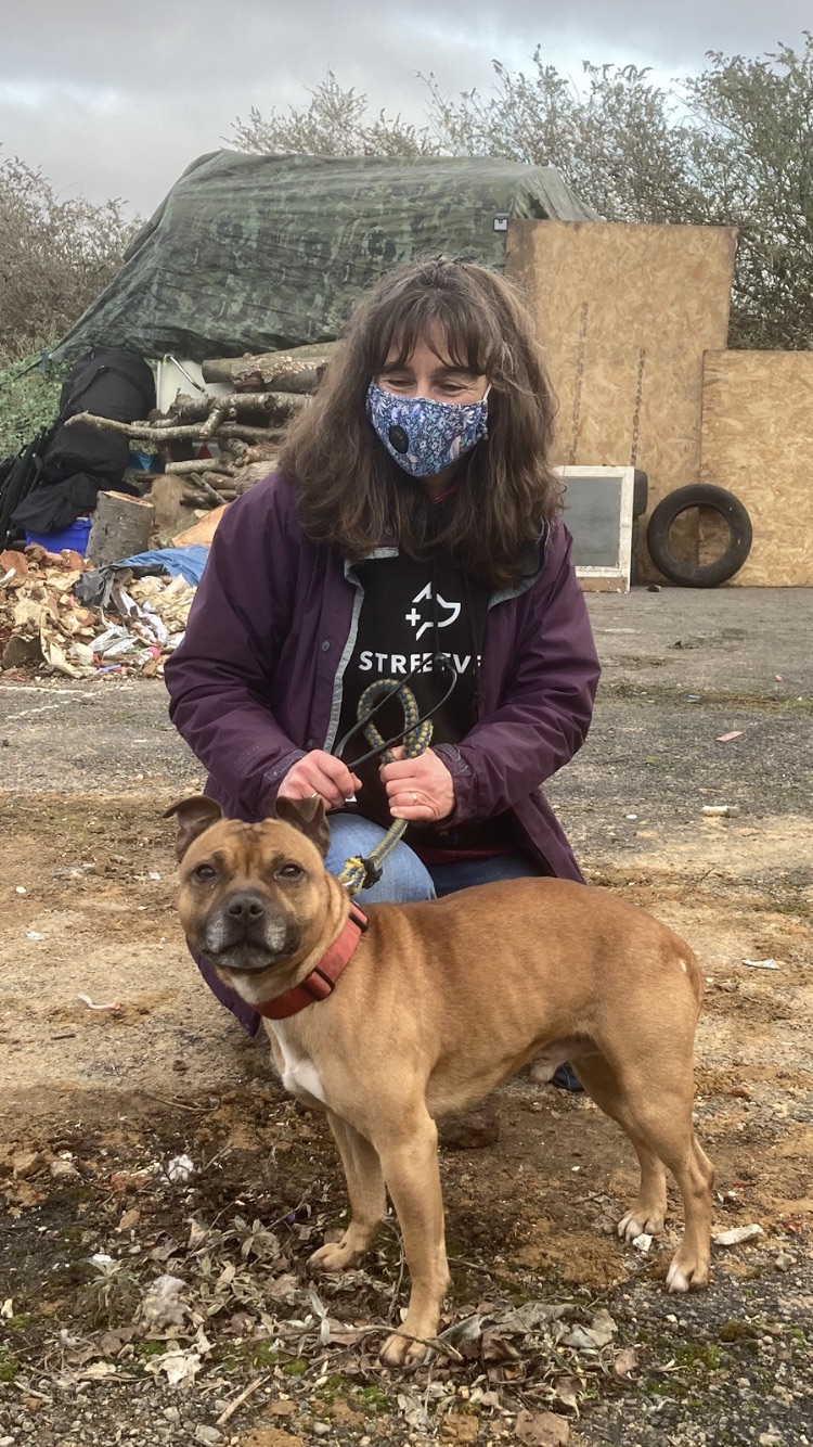 StreetVet Q&A - Ending the Choice of Pet OR Shelter for the Homeless ...