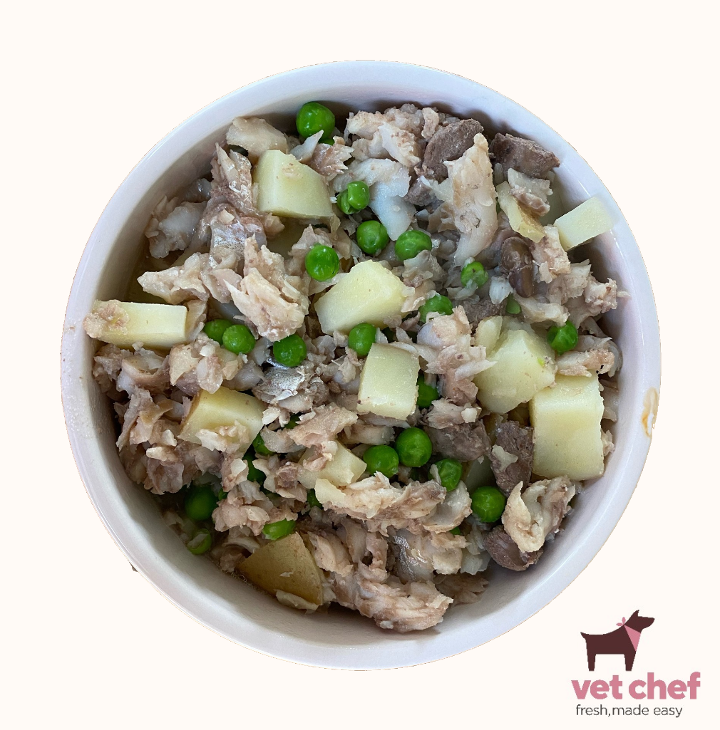 How dogs can benefit from a home-cooked diet - Q&A with VetChef founder ...