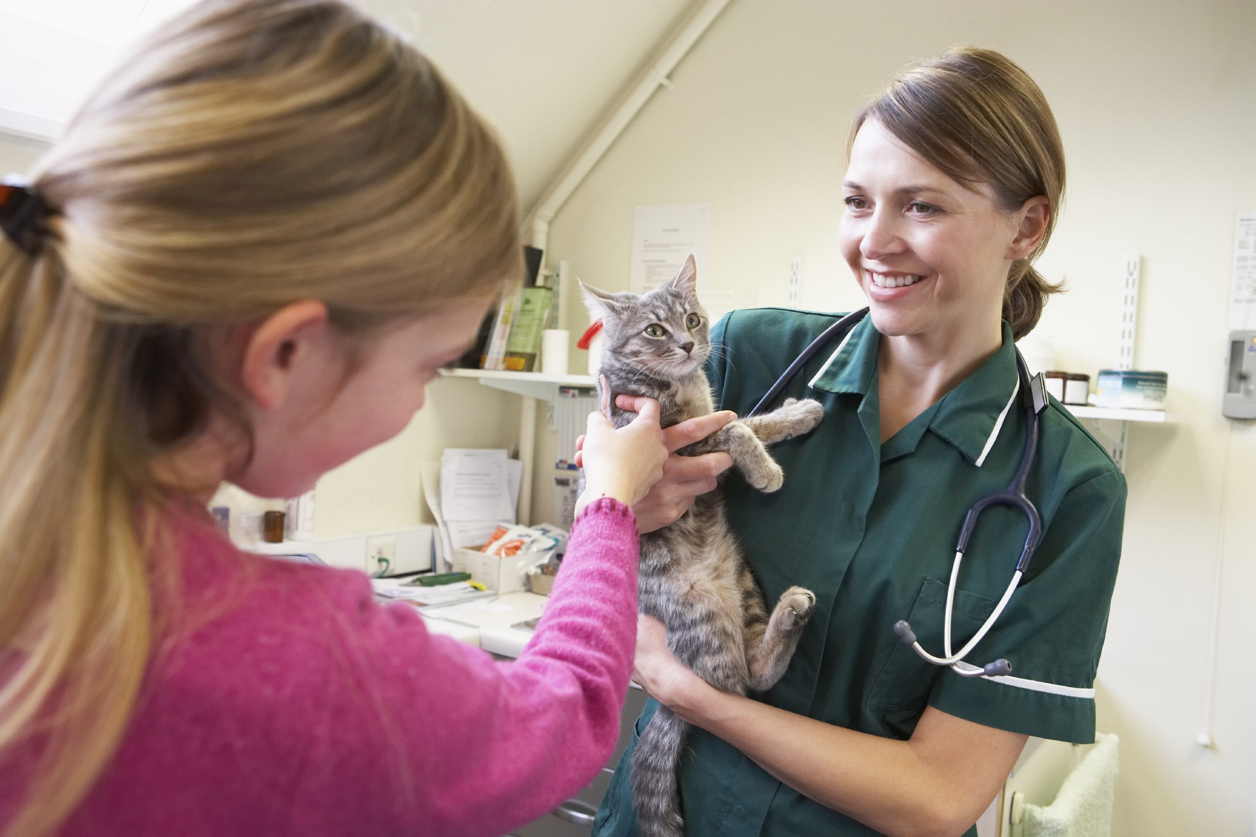 How can I find out whether my vets is a corporate? - Vet Help Direct