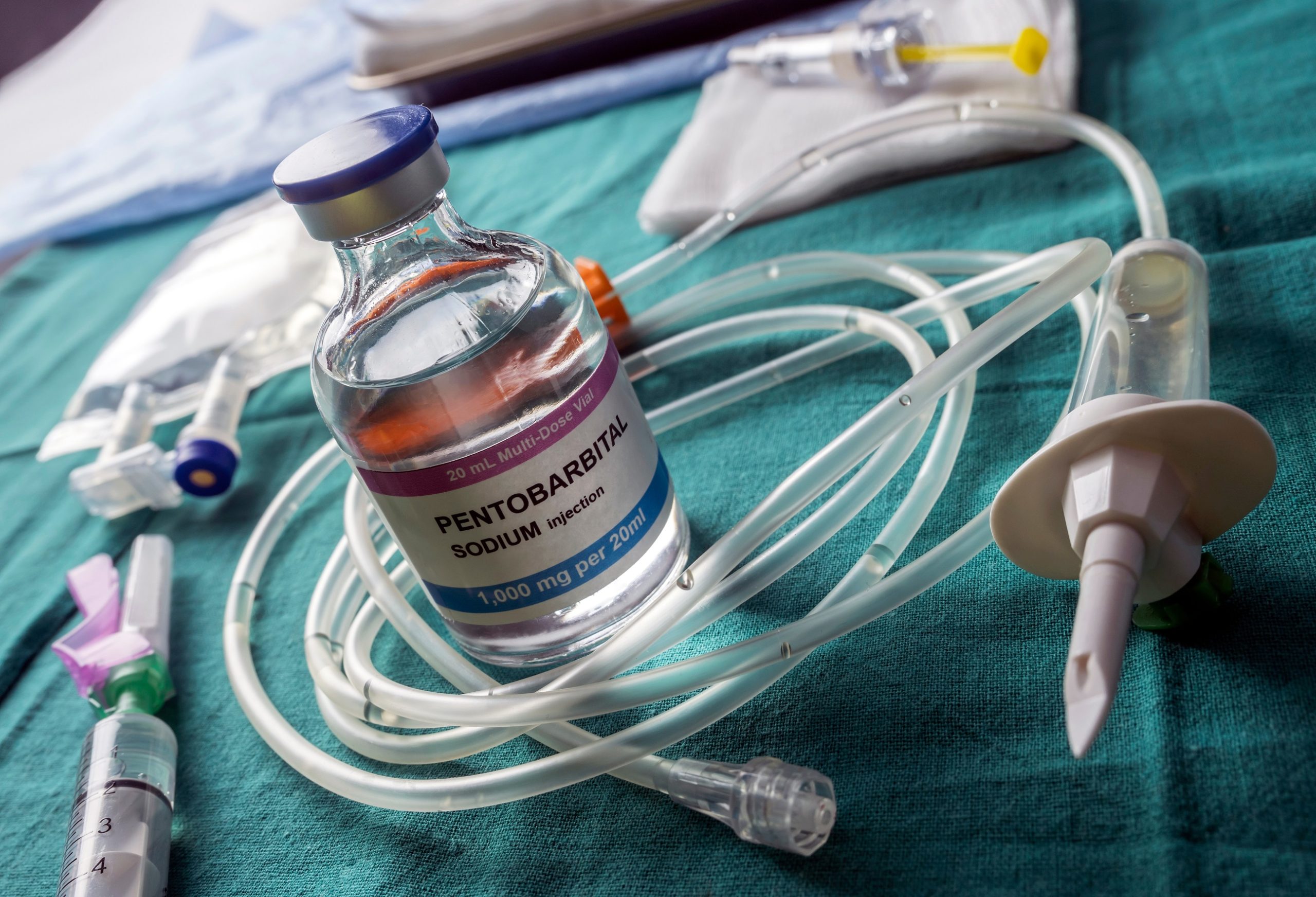 Why Don't Vets Use the Phrase ‘Put to Sleep’ Anymore? - Vet Help Direct