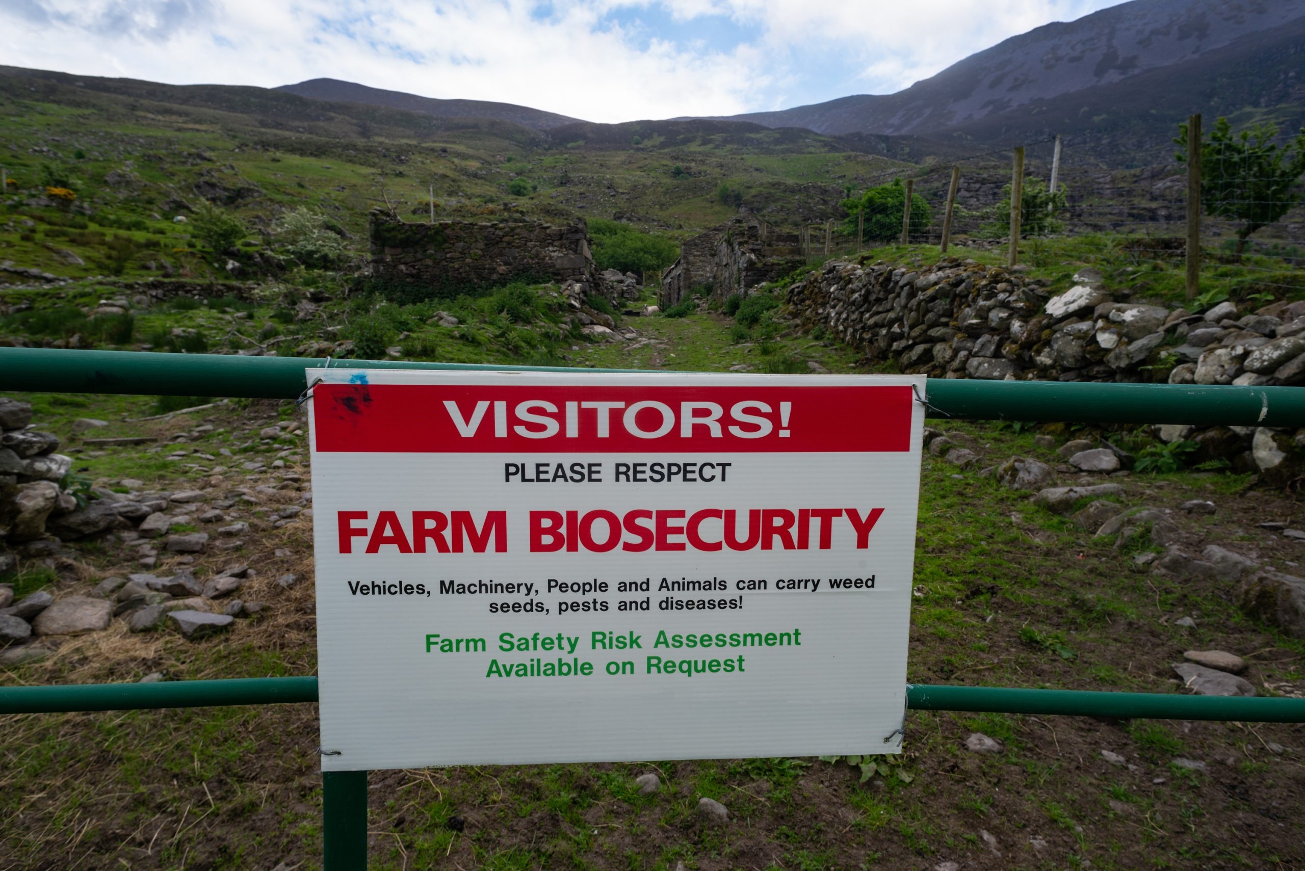 Preventing infection in your flock: the importance of biosecurity for ...