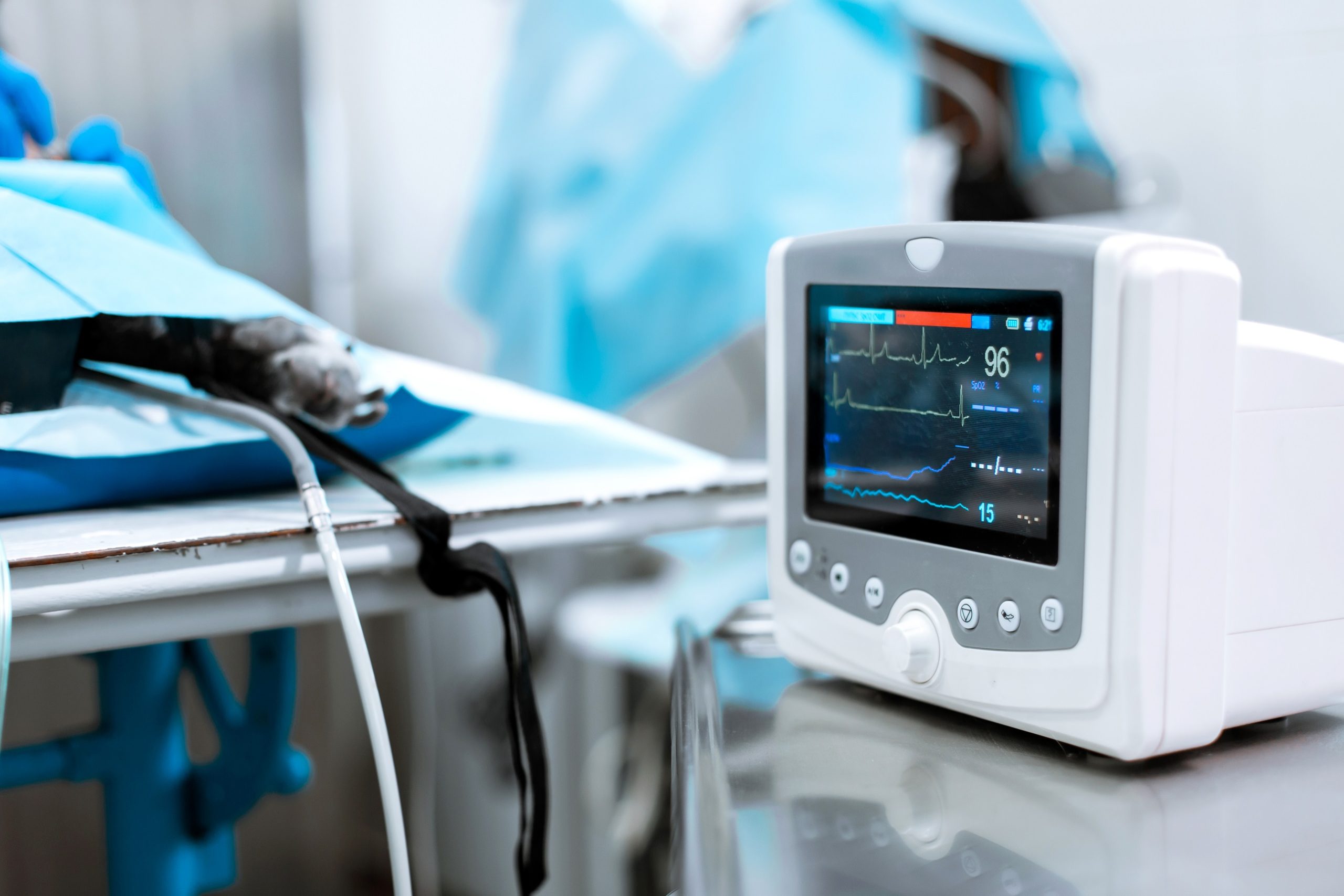 How safe is an anaesthetic in dogs really? - Vet Help Direct
