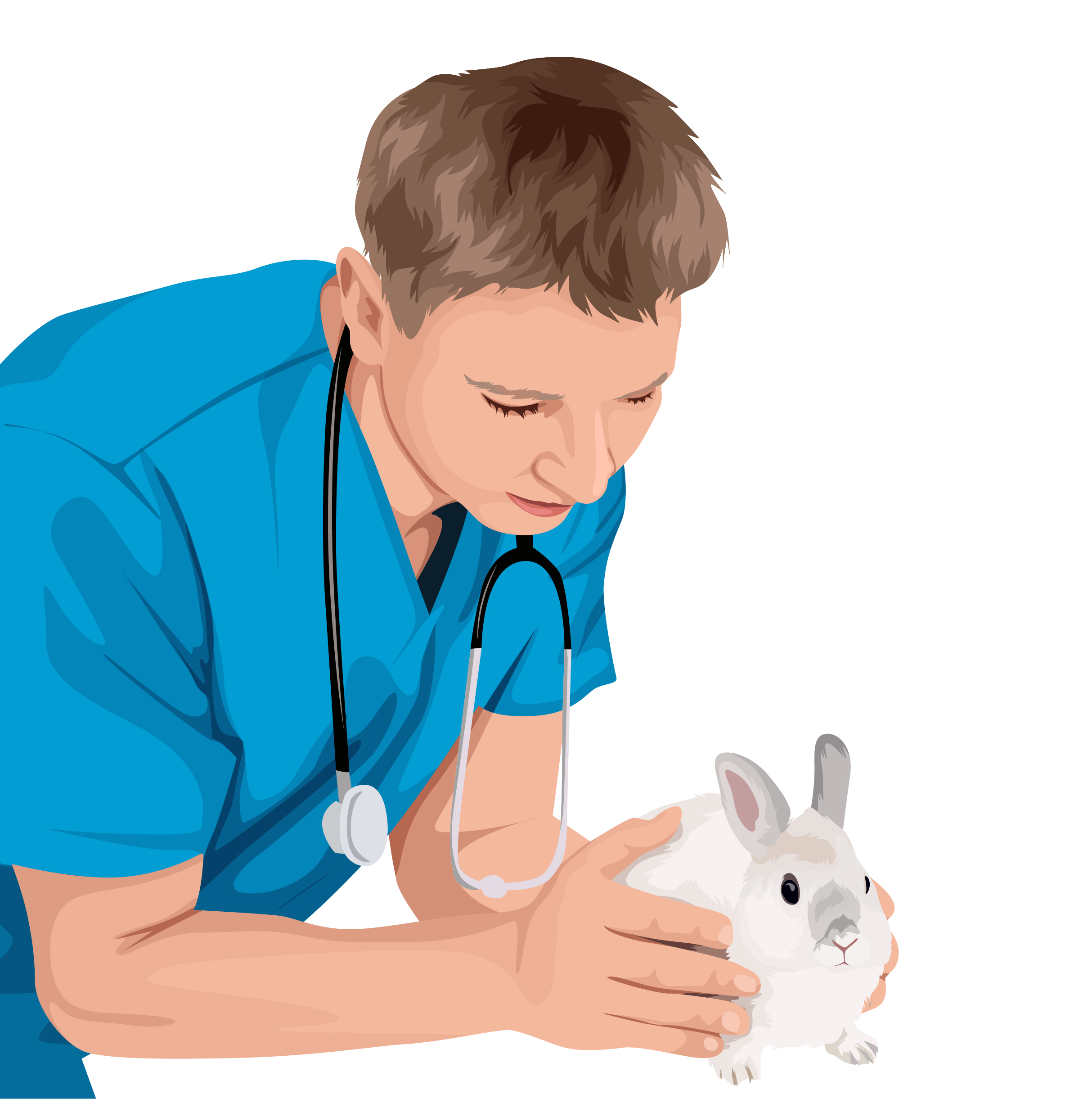 Why Is My Rabbit Scared Of Me Vet Help Direct