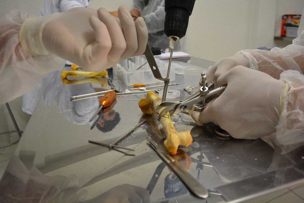 Pins, Plates and Screws – What’s the Vet Doing When They Repair Broken ...