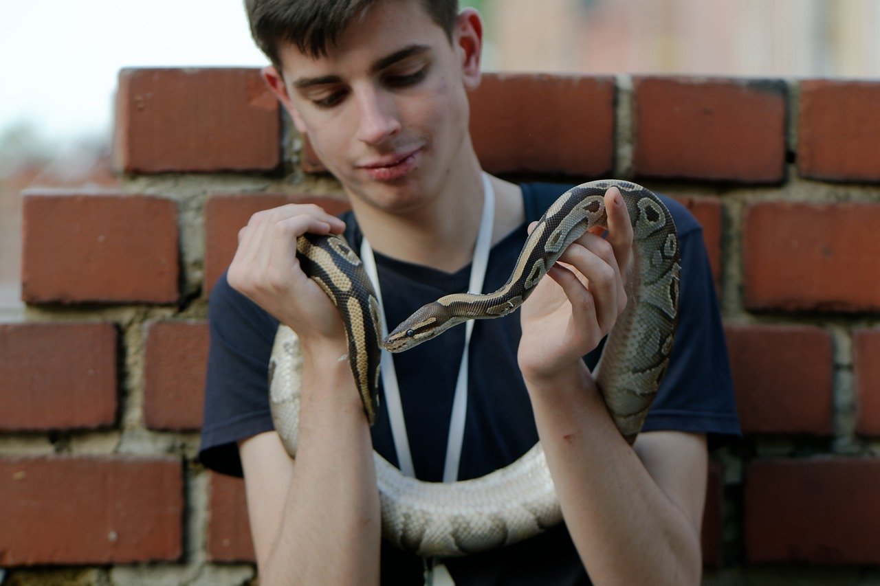 Is it true that snakes cannot infect humans? - Vet Help Direct