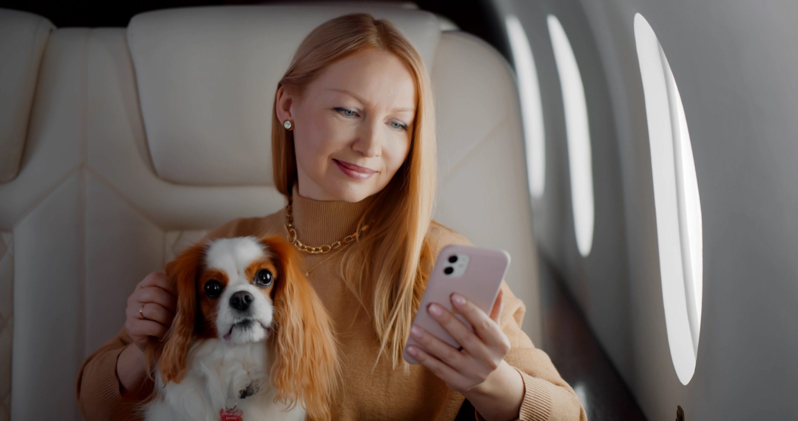 Preparing your pet for flight on a private jet - Vet Help Direct