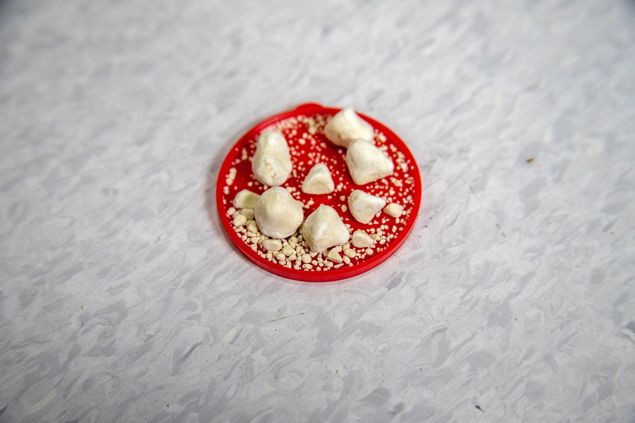 How common are bladder stones in dogs? - Vet Help Direct