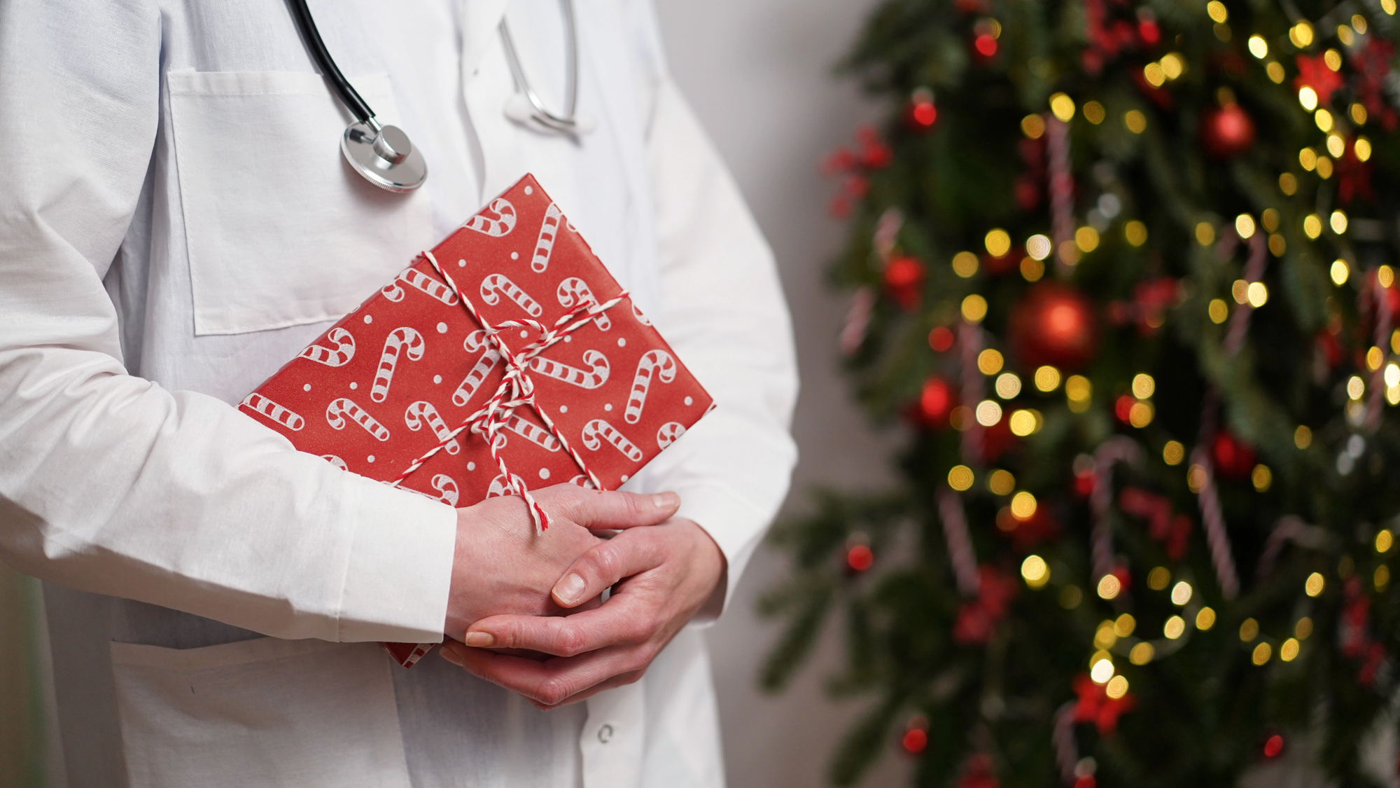 Christmas Out of Hours at the Vets - Vet Help Direct